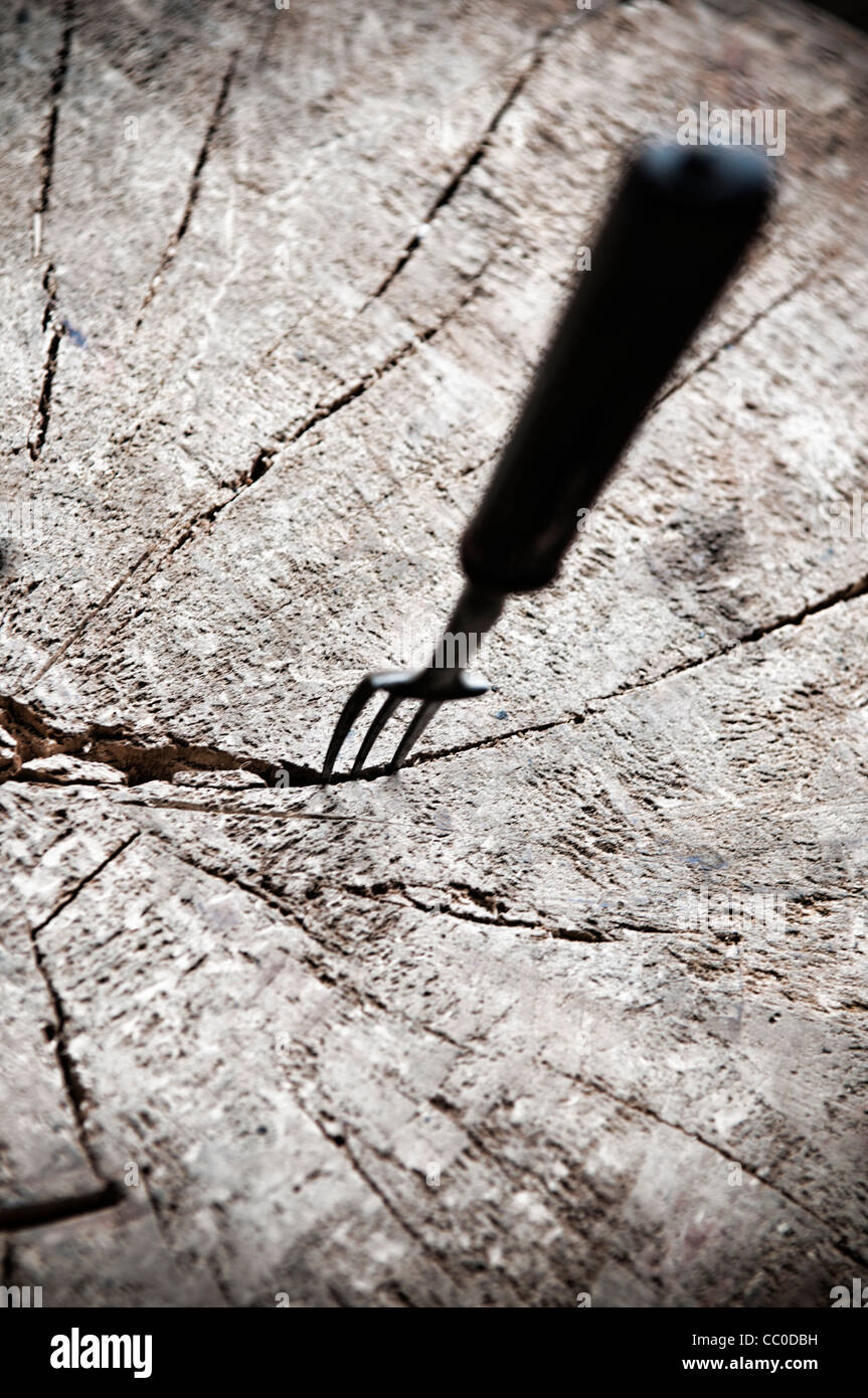 Log fork hi-res stock photography and images - Alamy