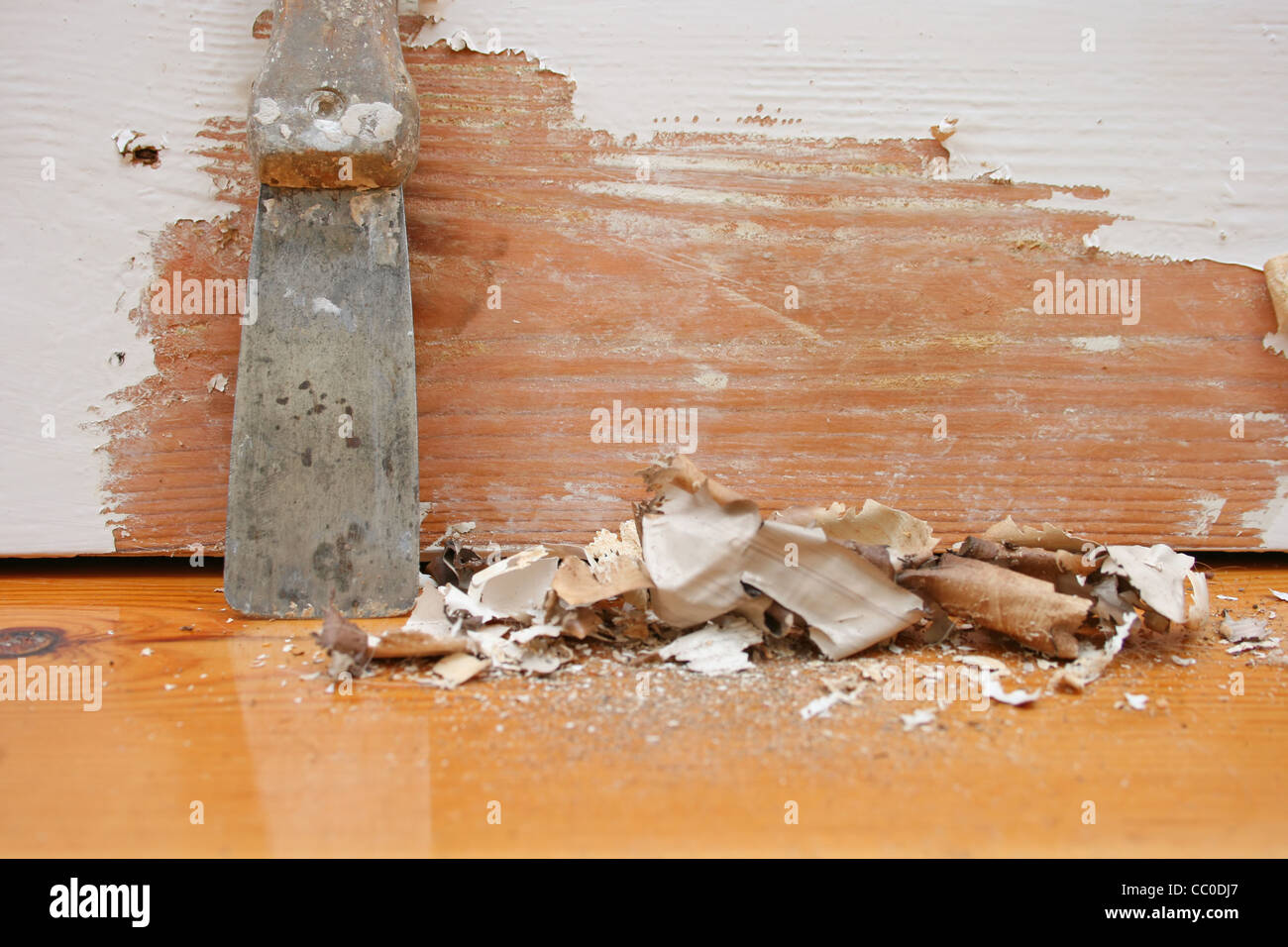 Filler knife or paint scraper with a pile of removed paint flakes Stock ...