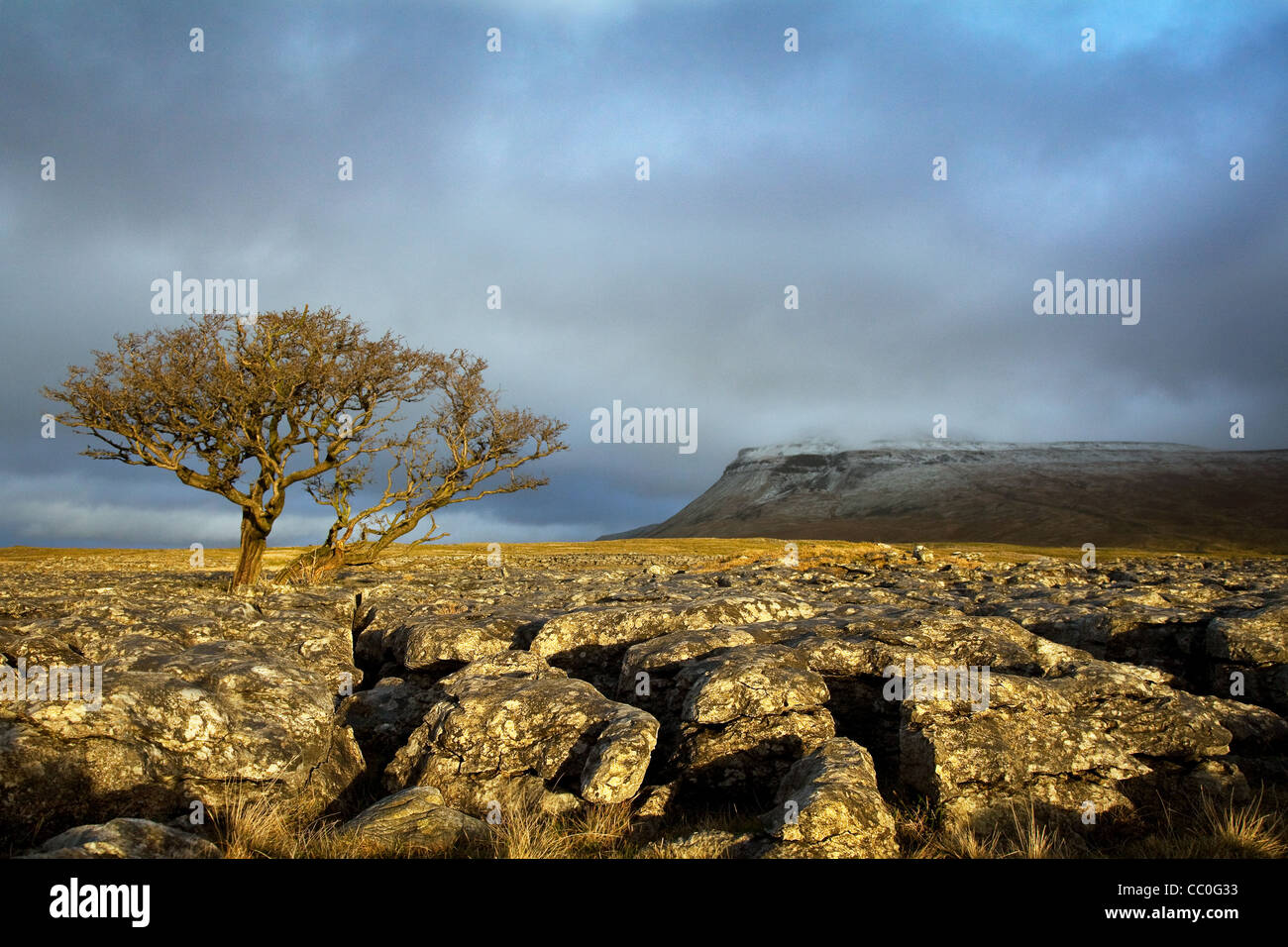 Fissured Rocks High Resolution Stock Photography and Images - Alamy