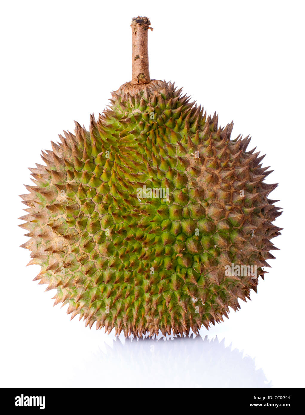 Durian isolated on white background Stock Photo - Alamy