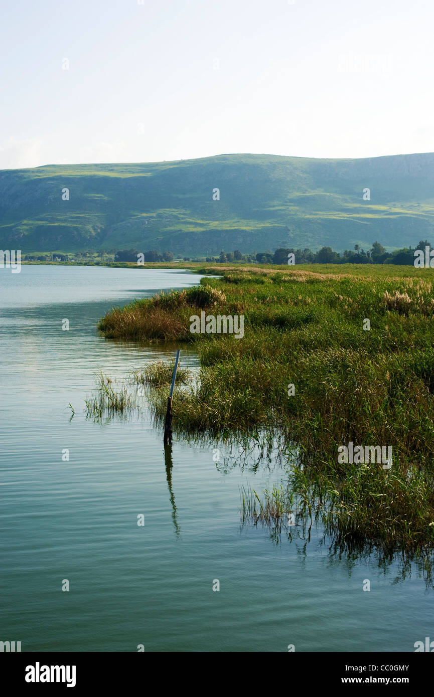 Sea of Galilee scenery, Kineret,Northern Israel Stock Photo - Alamy