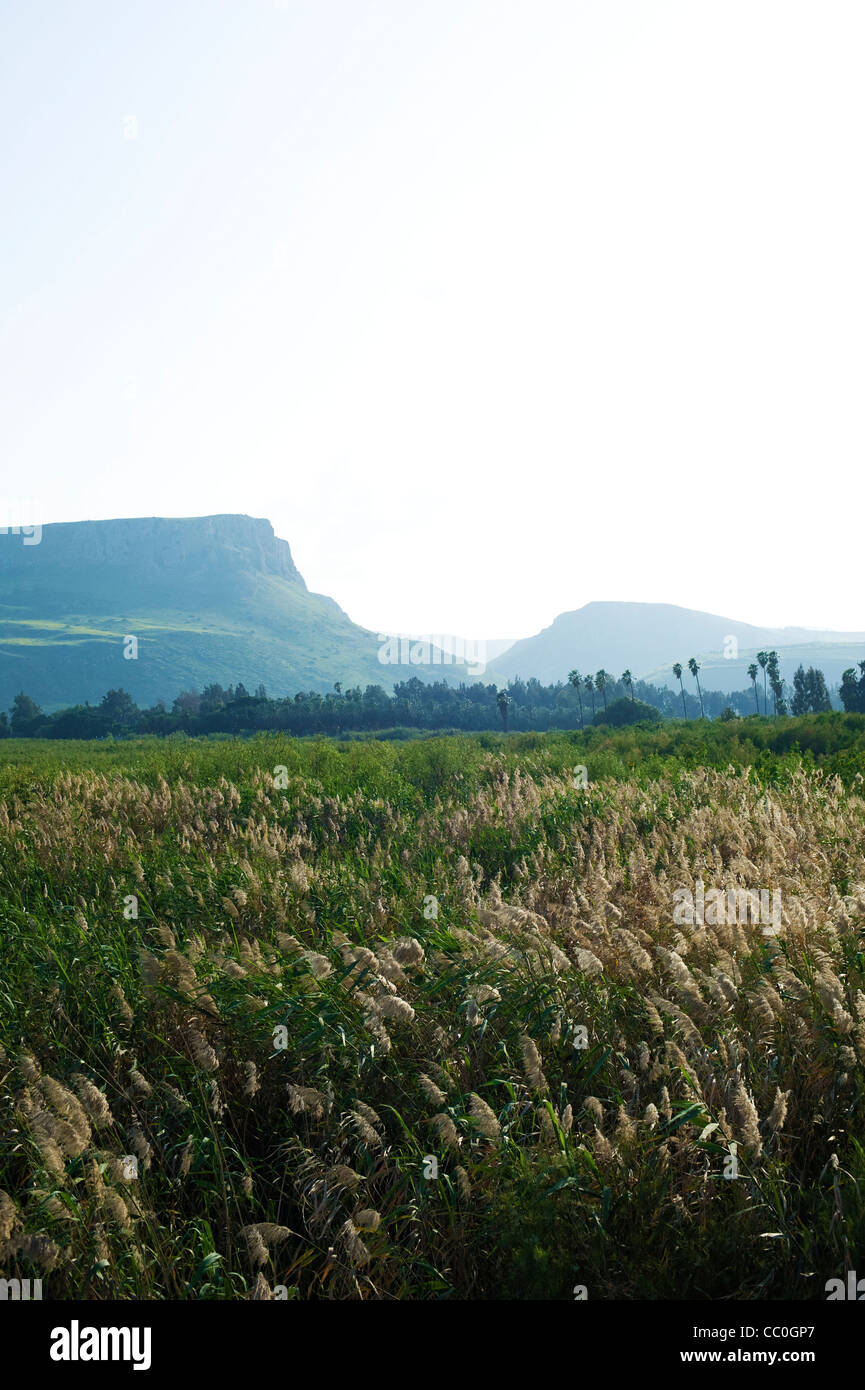 Israel scenery hi-res stock photography and images - Alamy