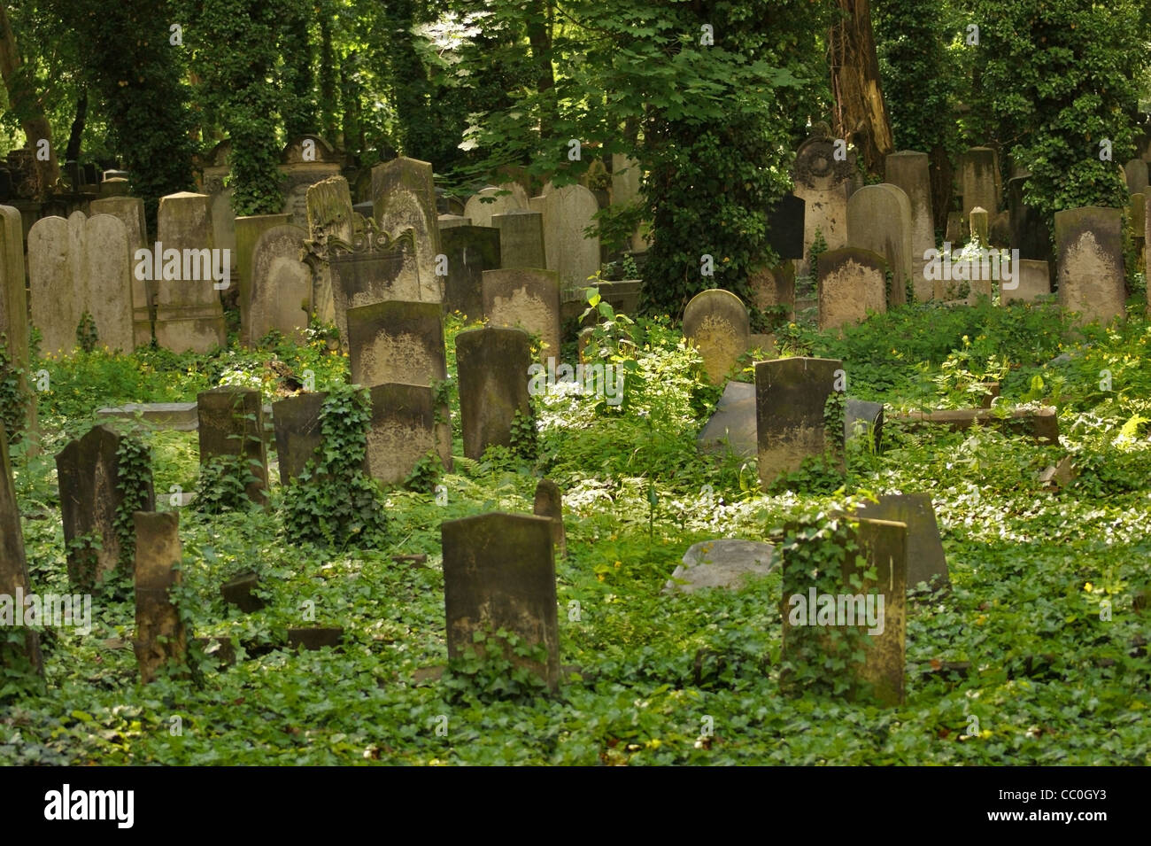 pictorial detail of a old overgrown graveyard in Berlin (Germany) at ...