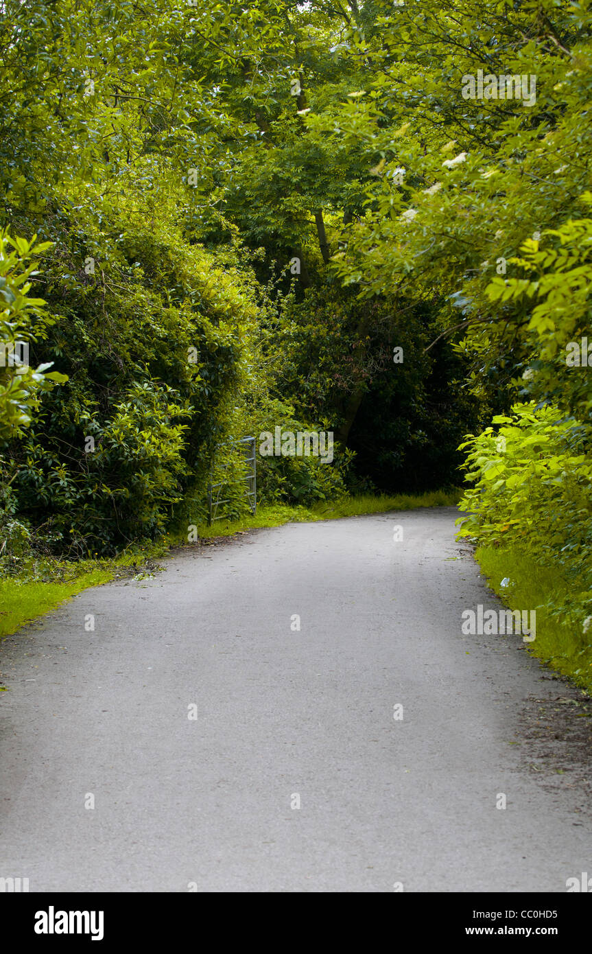 Empty road in the countryside Stock Photo - Alamy