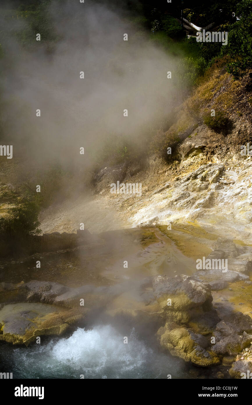 Volcanic thermal activity at Furnas Lake Sao Miguel island Azores Stock ...