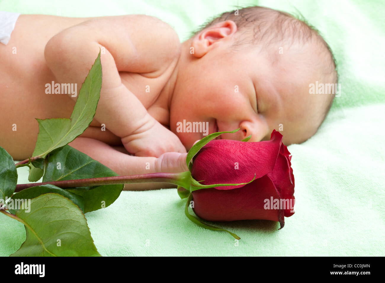 Red rose and newborn baby sleeping Stock Photo - Alamy