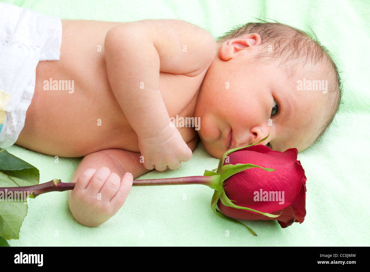 newborn boy holding rose un hand Stock Photo - Alamy