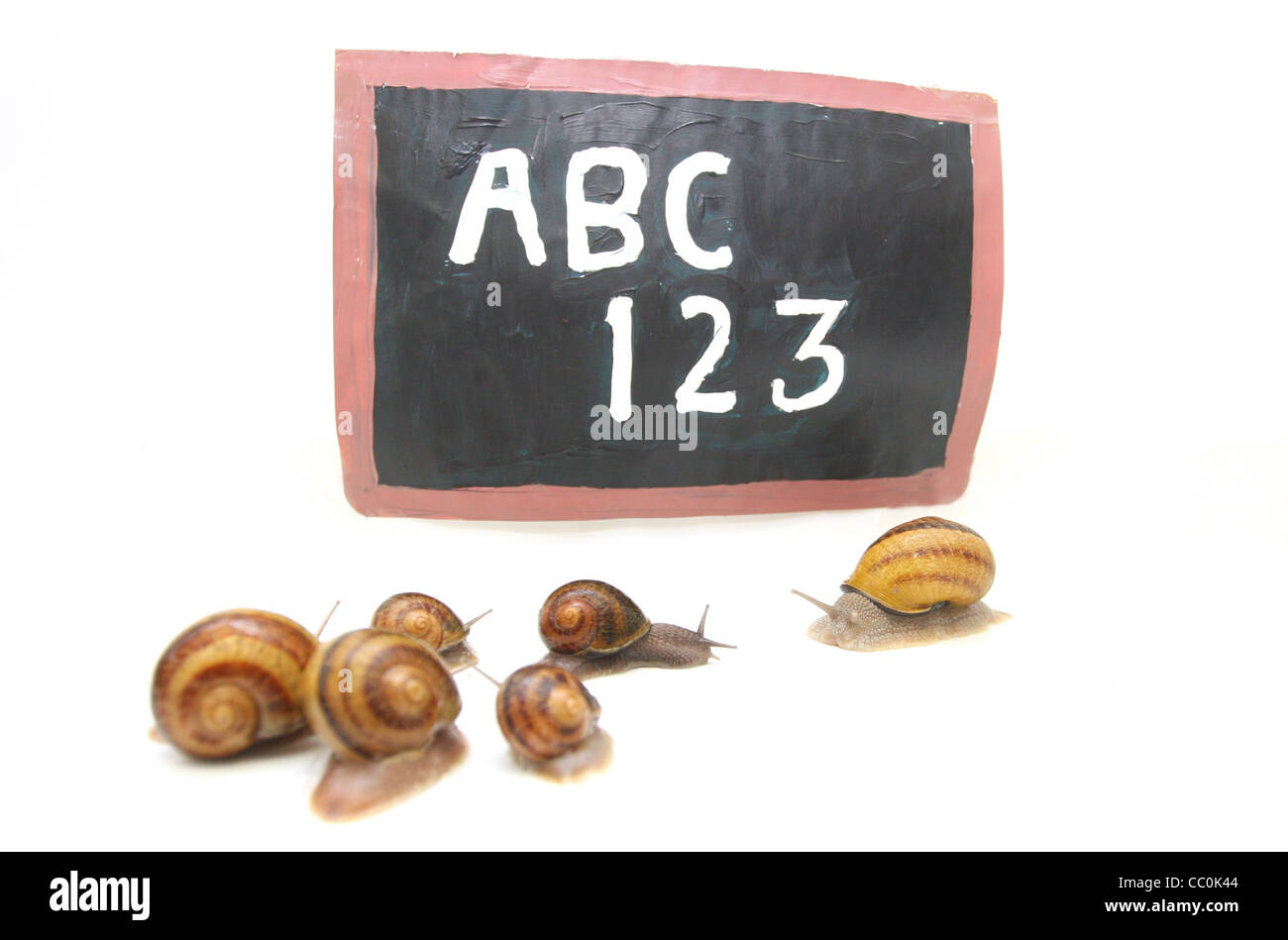 Snails go back to school Stock Photo - Alamy