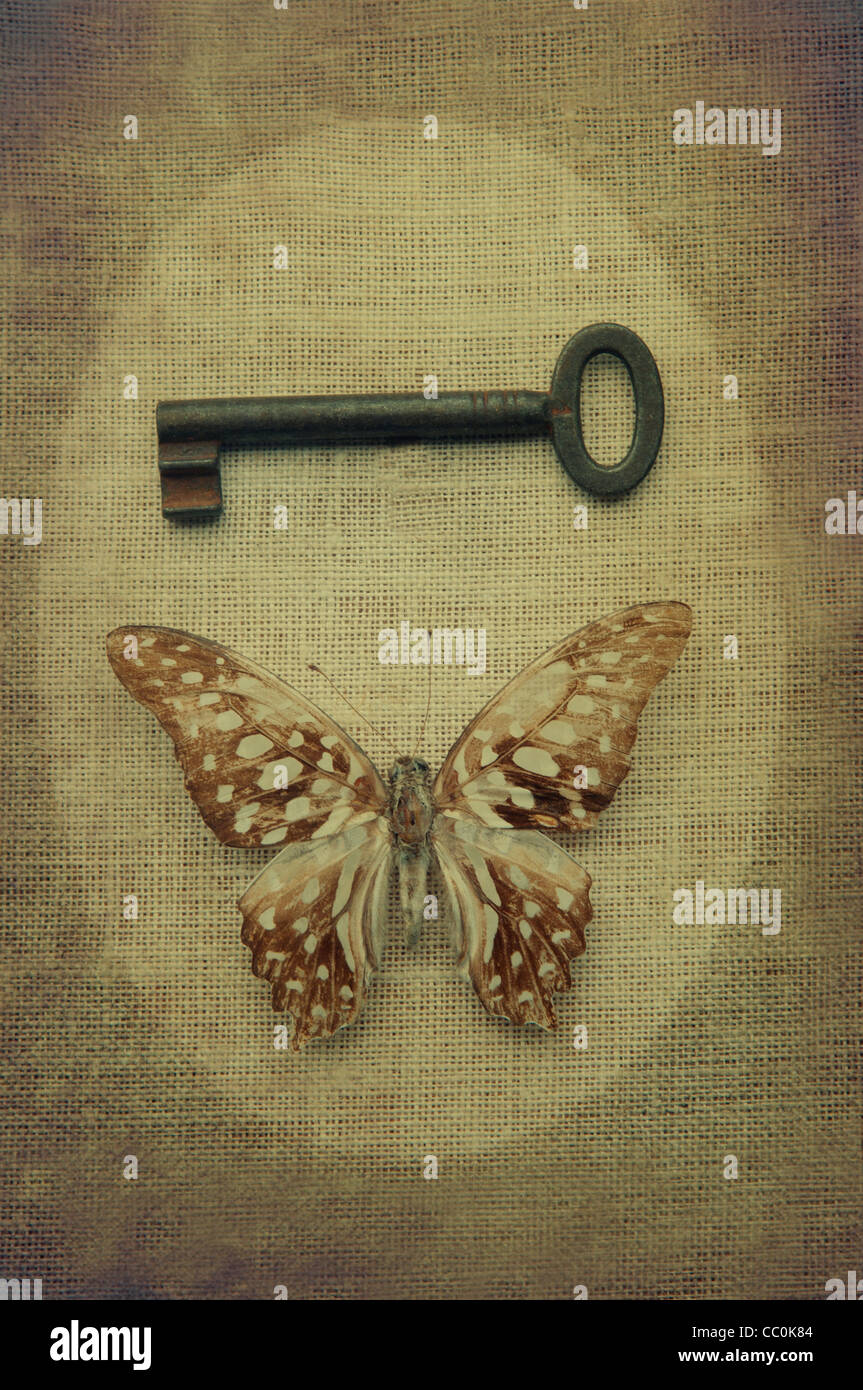 Butterfly surreal surrealism hi-res stock photography and images - Alamy
