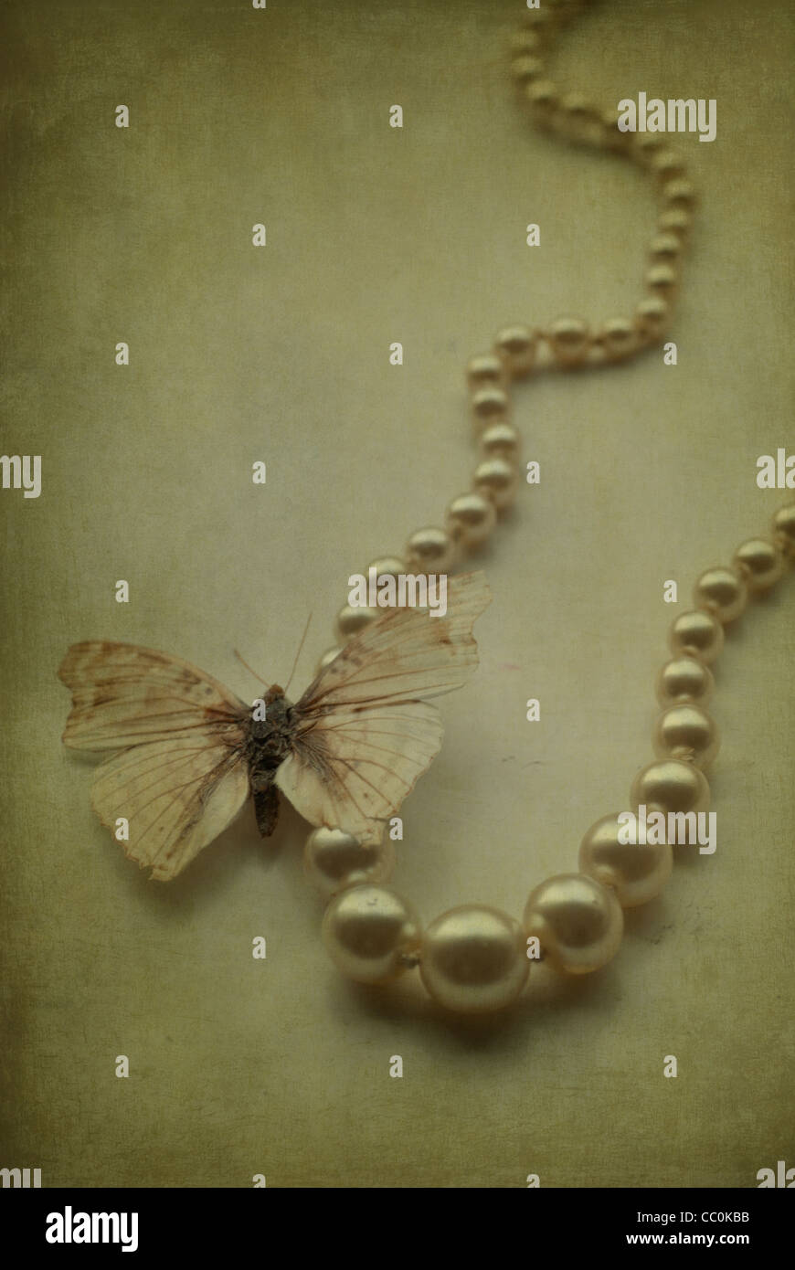 Jewelry butterfly hi-res stock photography and images - Alamy