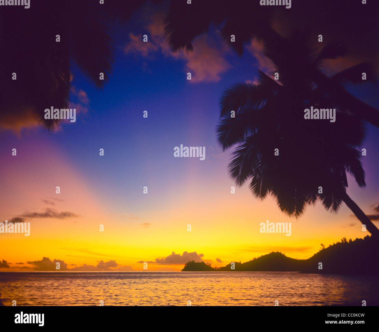 Sunset, sea, palm trees, Mahé island, Seychelles Stock Photo - Alamy