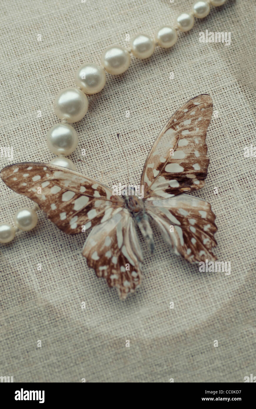 Pearl and insects hi-res stock photography and images - Alamy