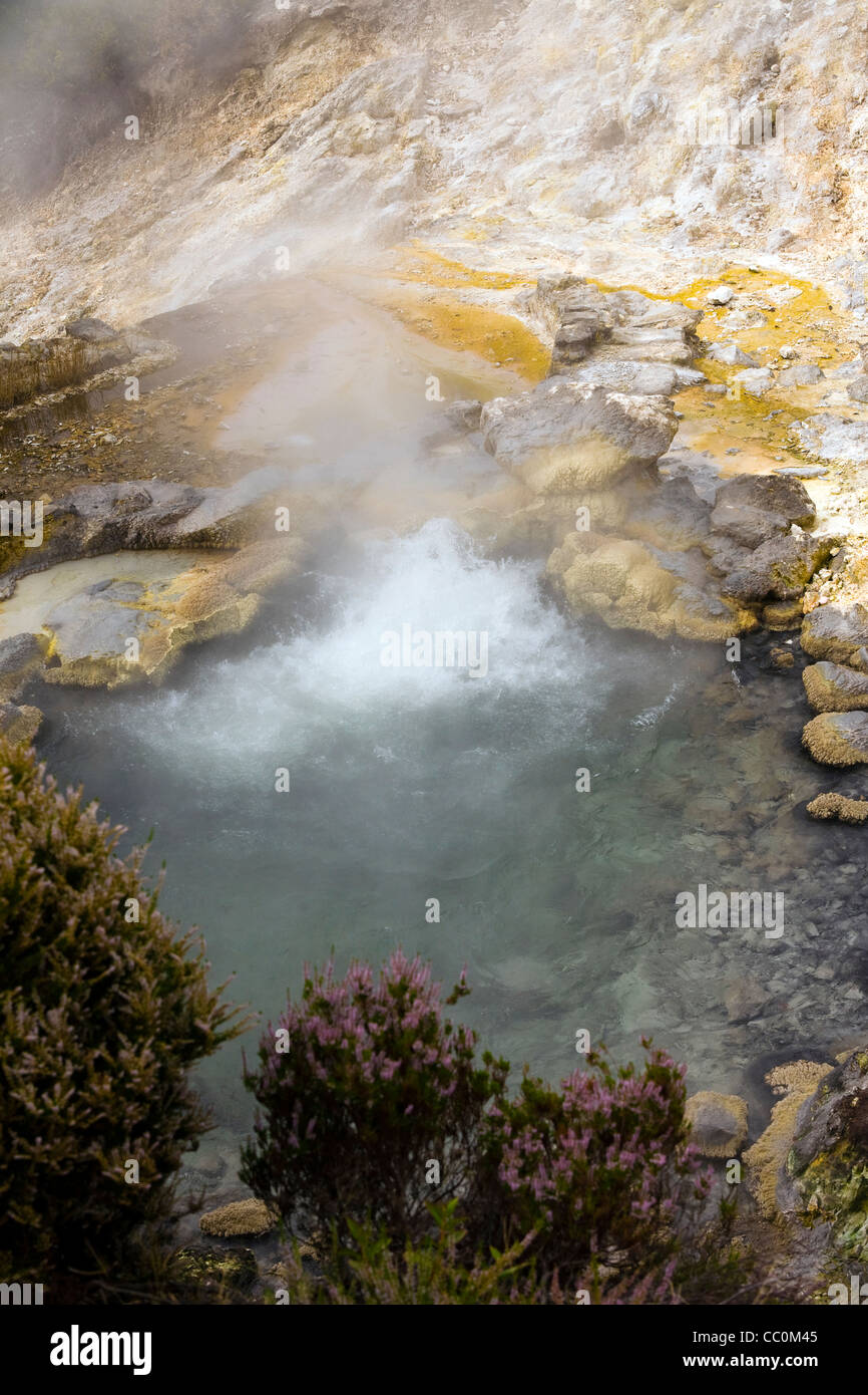 Volcanic thermal activity at Furnas Lake Sao Miguel island Azores Stock ...