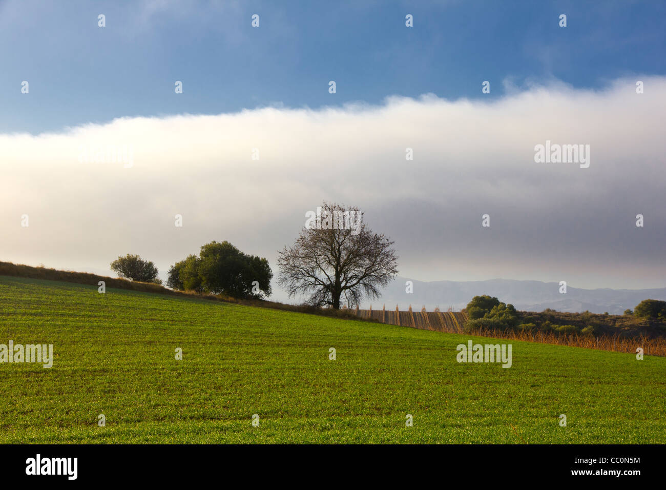 LANDSCAPE AFTER THE RAIN Stock Photo - Alamy