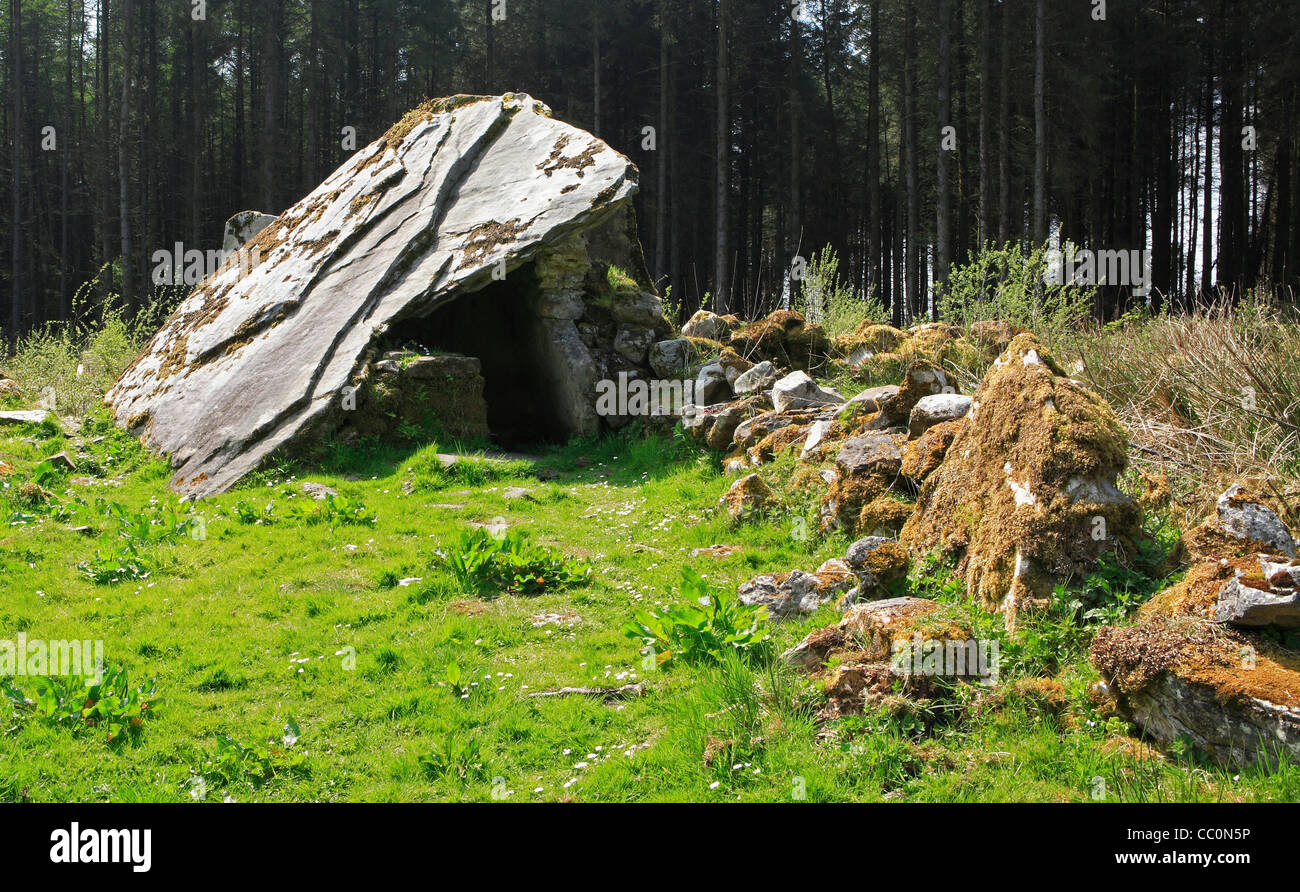 The Calf House burial tomb. The Burren Forest. Co. Cavan. Ireland Stock ...