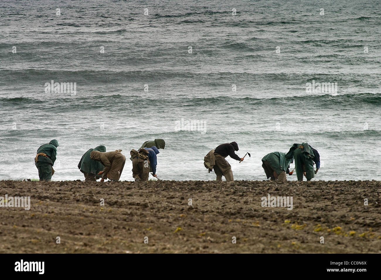 Ocean workers hi-res stock photography and images - Alamy