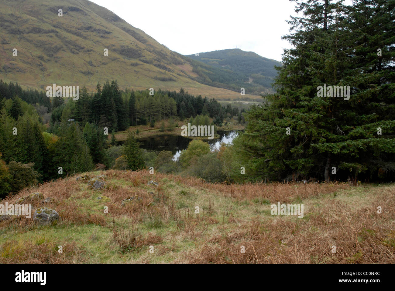 Harry potter hagrids hut hi-res stock photography and images - Alamy