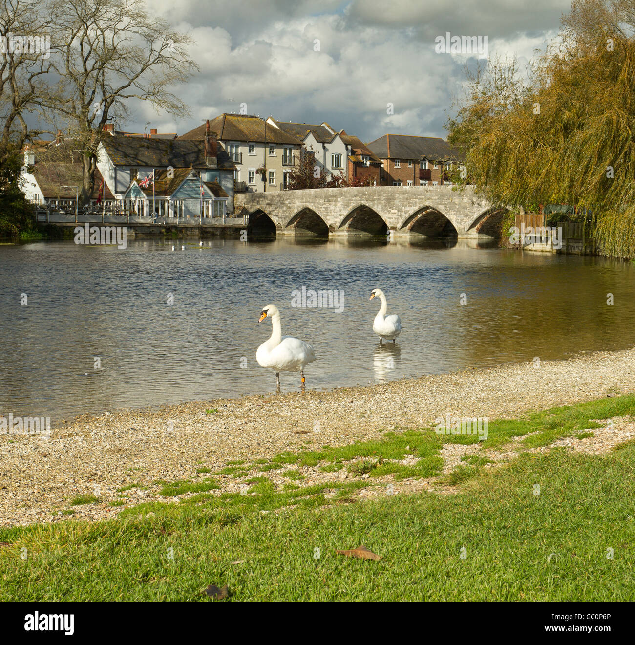 Fordingbridge hi-res stock photography and images - Alamy