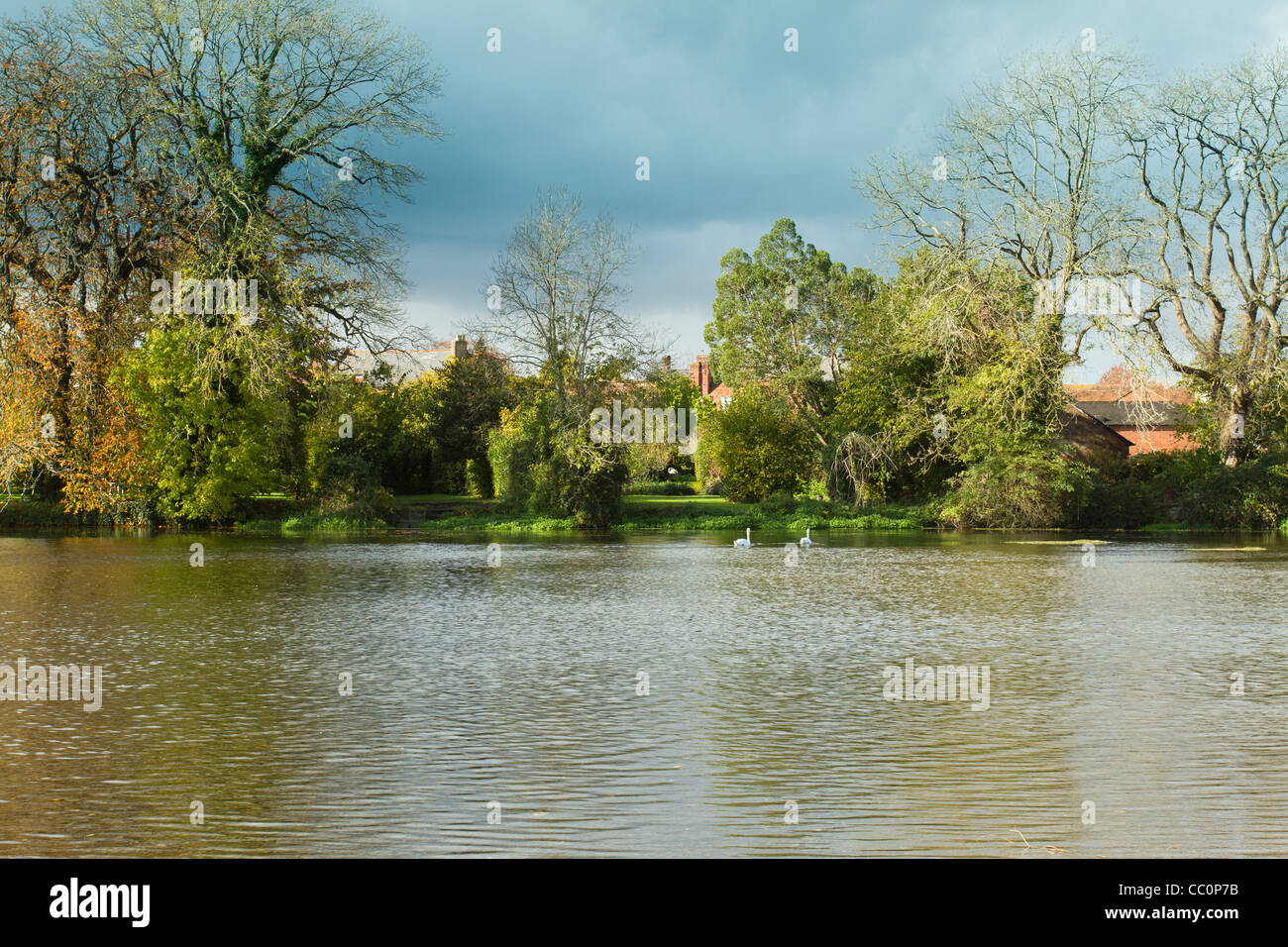 River scence at Fordingbridge, Hampshire on the River Avon near the New ...