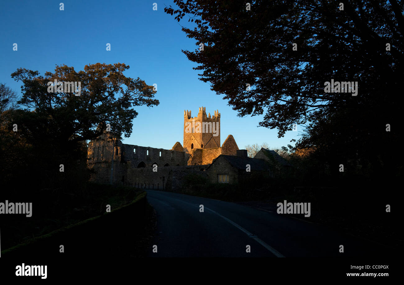 12th Century, Cistercian Jerpoint Abbey Ruins, Near Thomastown, County ...