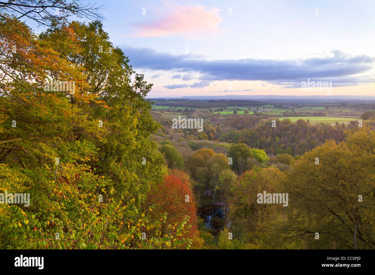 Hackfall near Grewelthorpe, North Yorkshire Stock Photo - Alamy