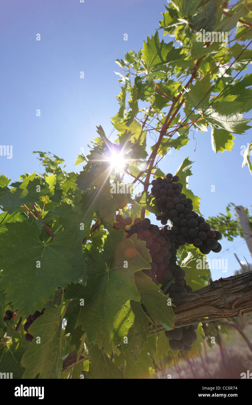 Sun slight hi-res stock photography and images - Alamy