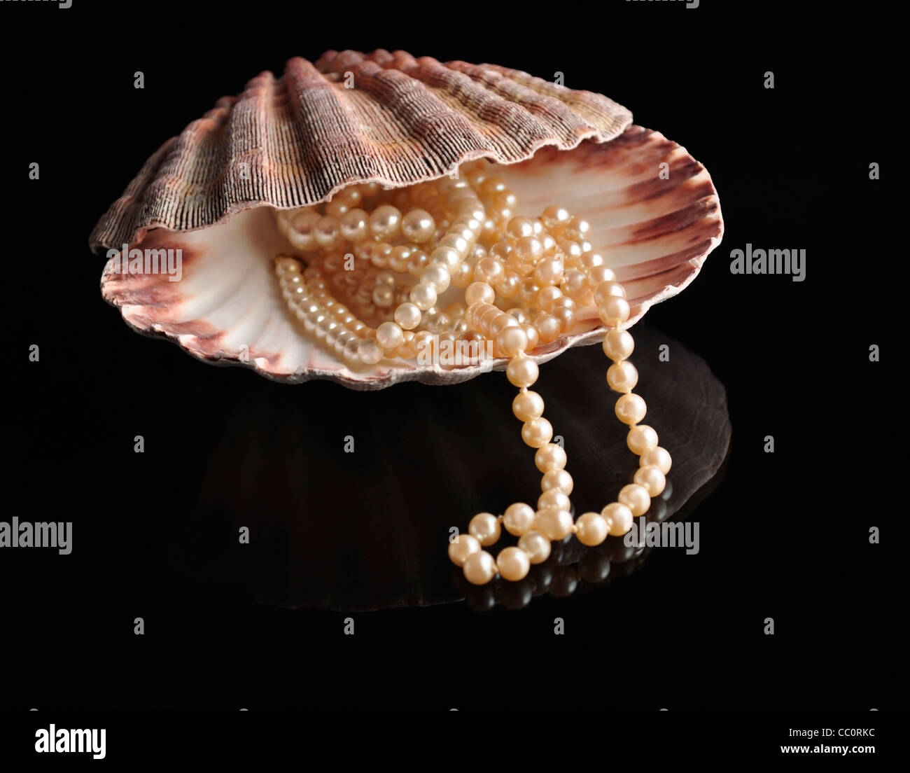 pearl into a shellfish on black background Stock Photo - Alamy