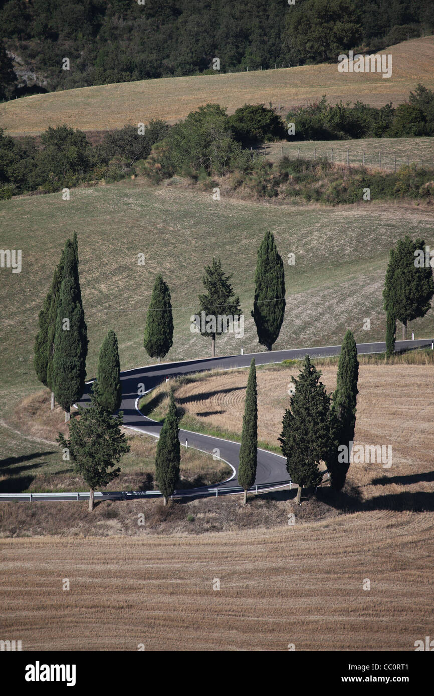 Italy, Tuscany, Winding 'S' bend with typical tall trees of the region ...
