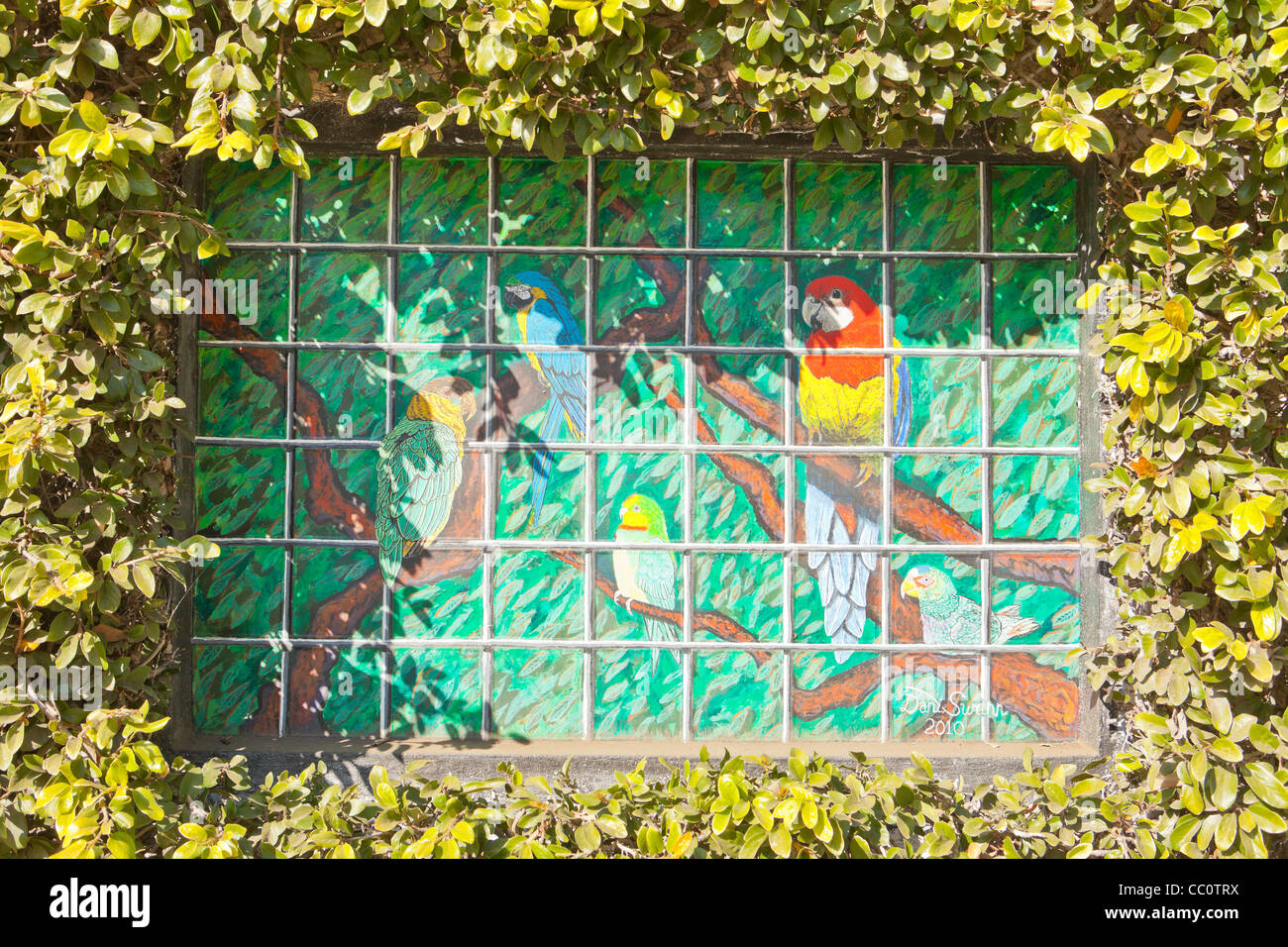 small mural of parrots at Daniel Swann studio, Funk Zone, Santa Barbara ...