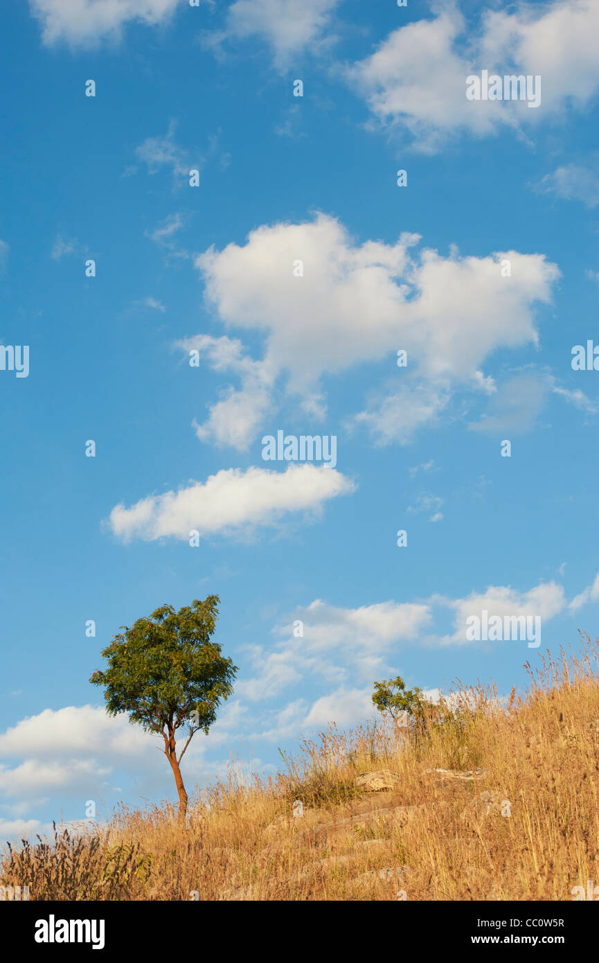 Indian hillside hi-res stock photography and images - Alamy