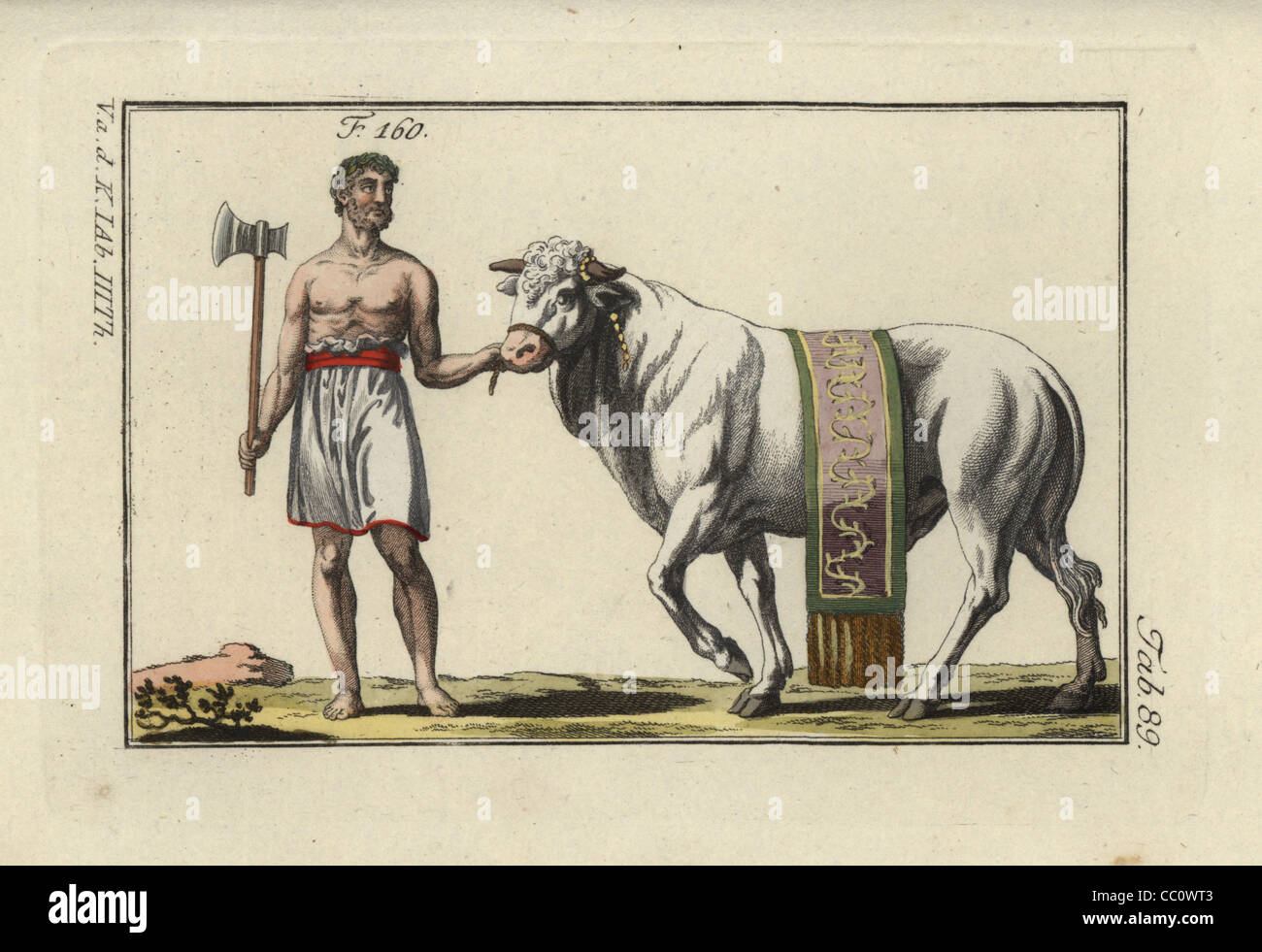 Sacrificial bull in decorative sash led to sacrifice by an axe-wielding ...