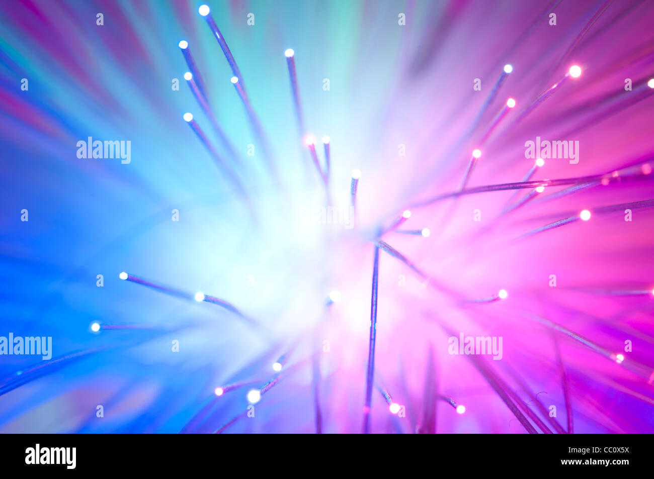 Optical fibers of fiber optic cable. Internet technology.Blue color ...