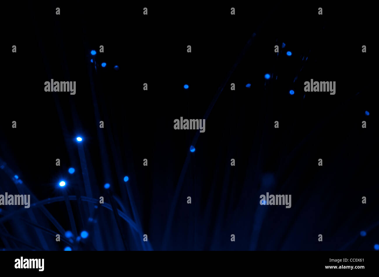 Optical fibers of fiber optic cable. Internet technology.Blue color ...