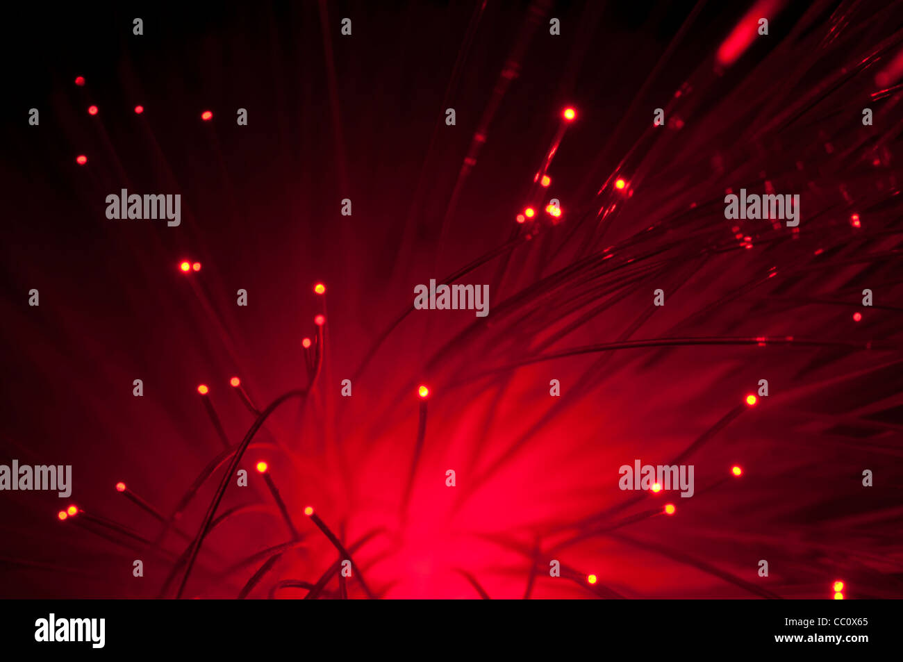 Optical fibers of fiber optic cable. Internet technology.Red color ...