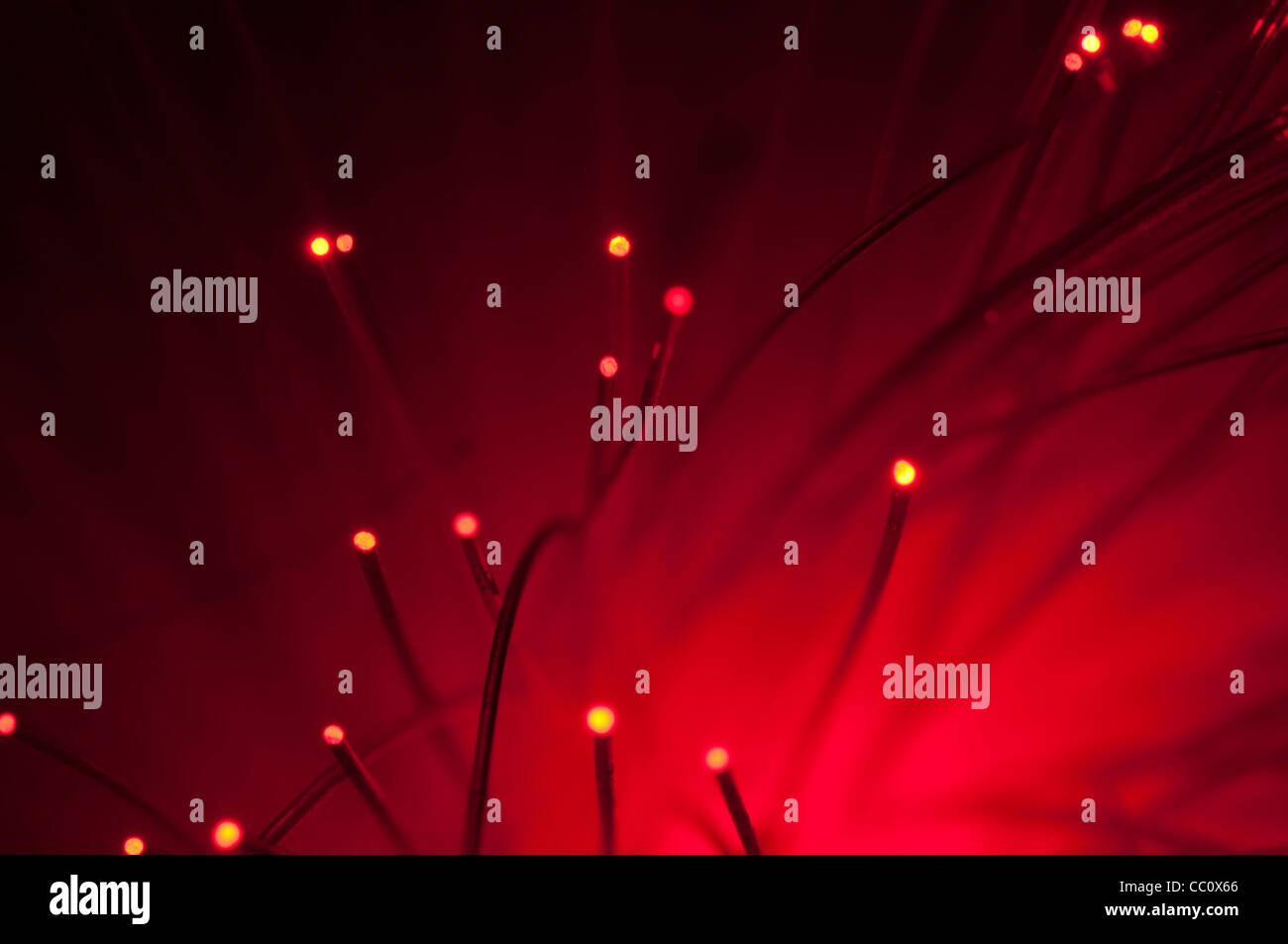 Optical fibers of fiber optic cable. Internet technology.Red color ...