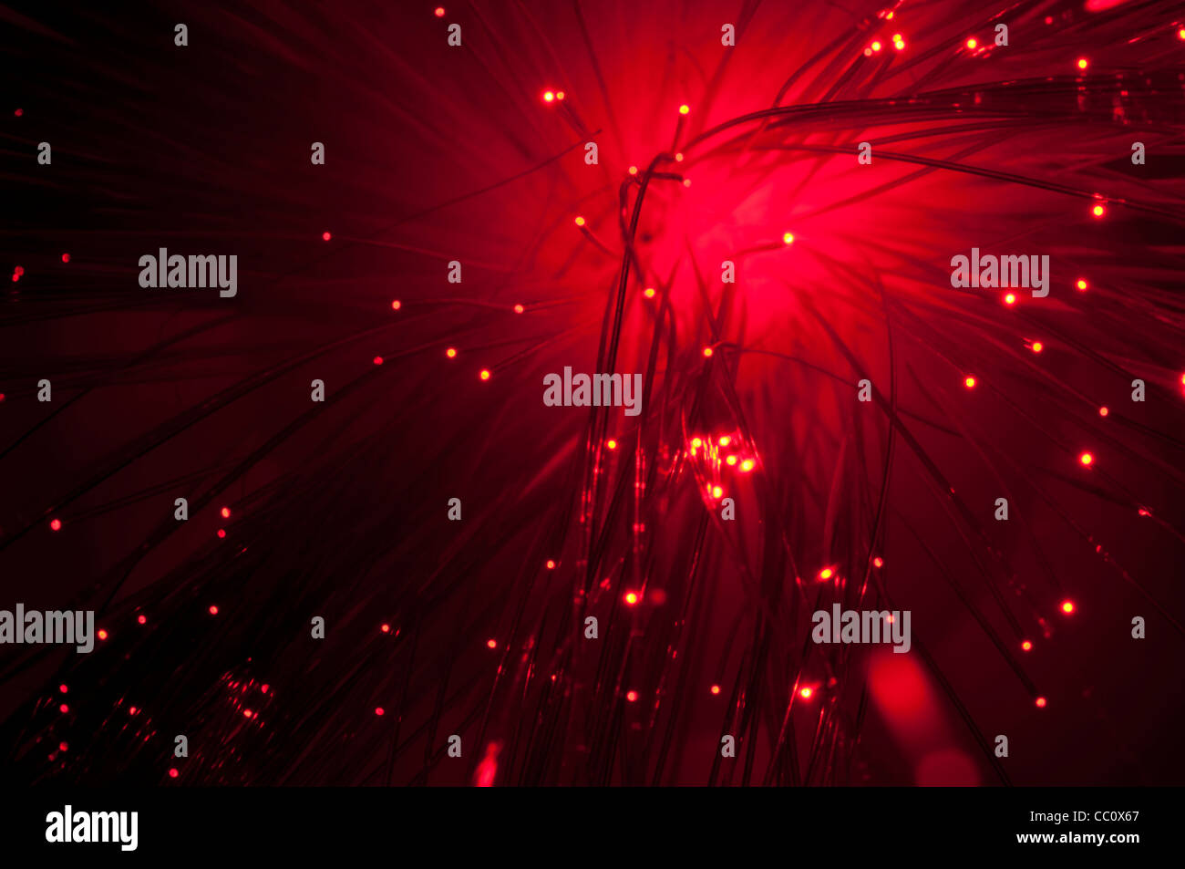 Optical fibers of fiber optic cable. Internet technology.Red color ...