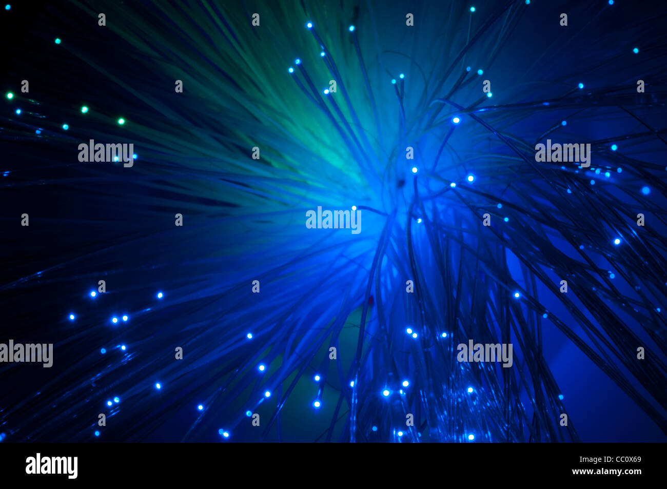 Optical fibers of fiber optic cable. Internet technology.Blue color ...