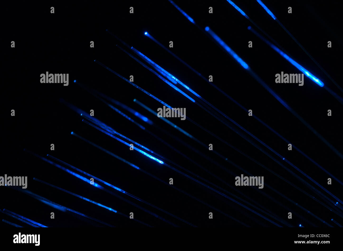 Optical fibers of fiber optic cable. Internet technology.Blue color ...
