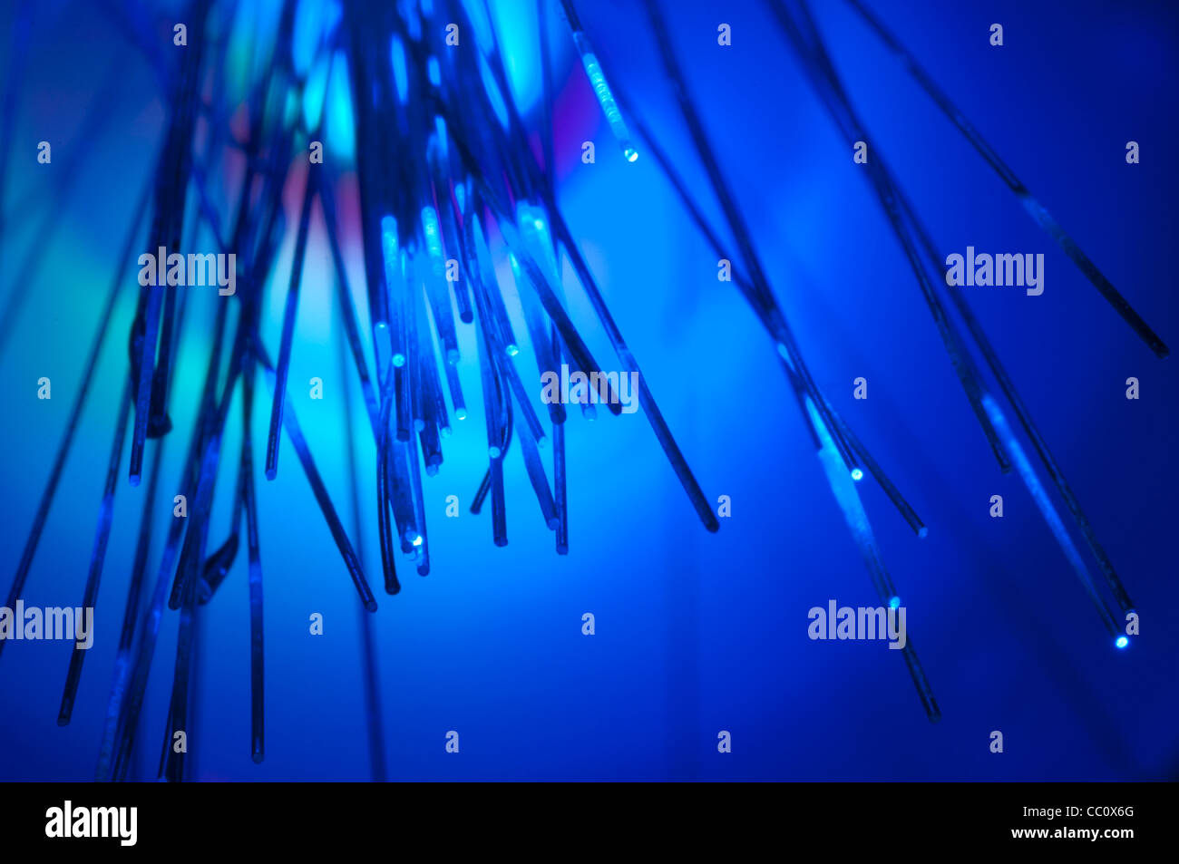 Optical fibers of fiber optic cable. Internet technology.Blue color ...