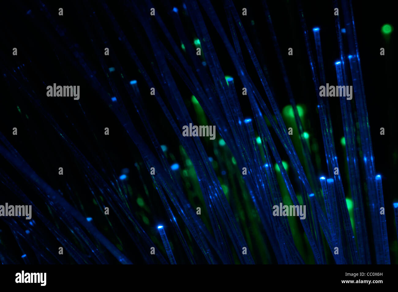 Optical fibers of fiber optic cable. Internet technology.Blue color ...