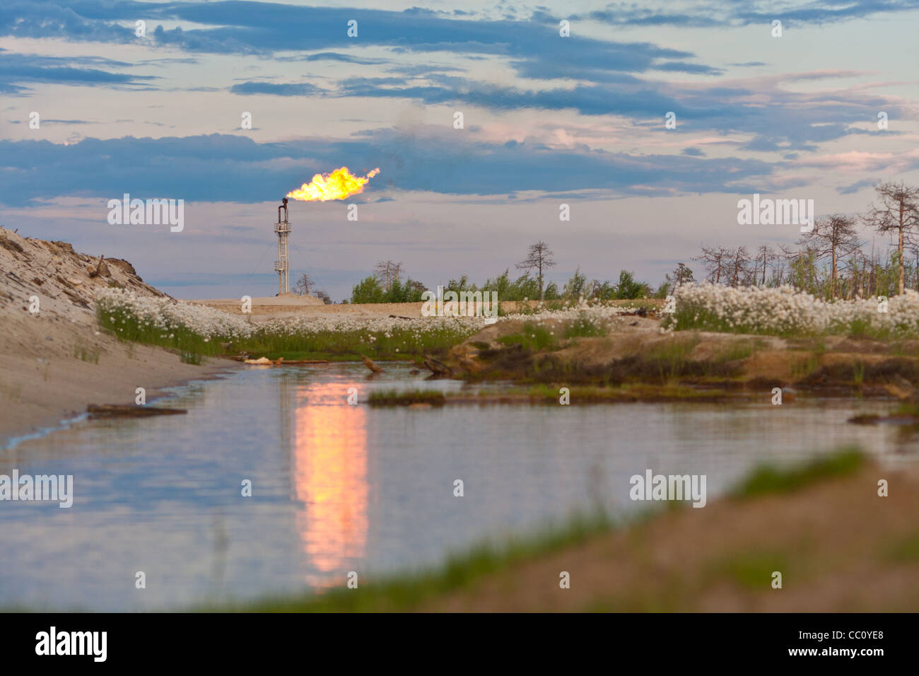 Oil gas flare Stock Photo - Alamy