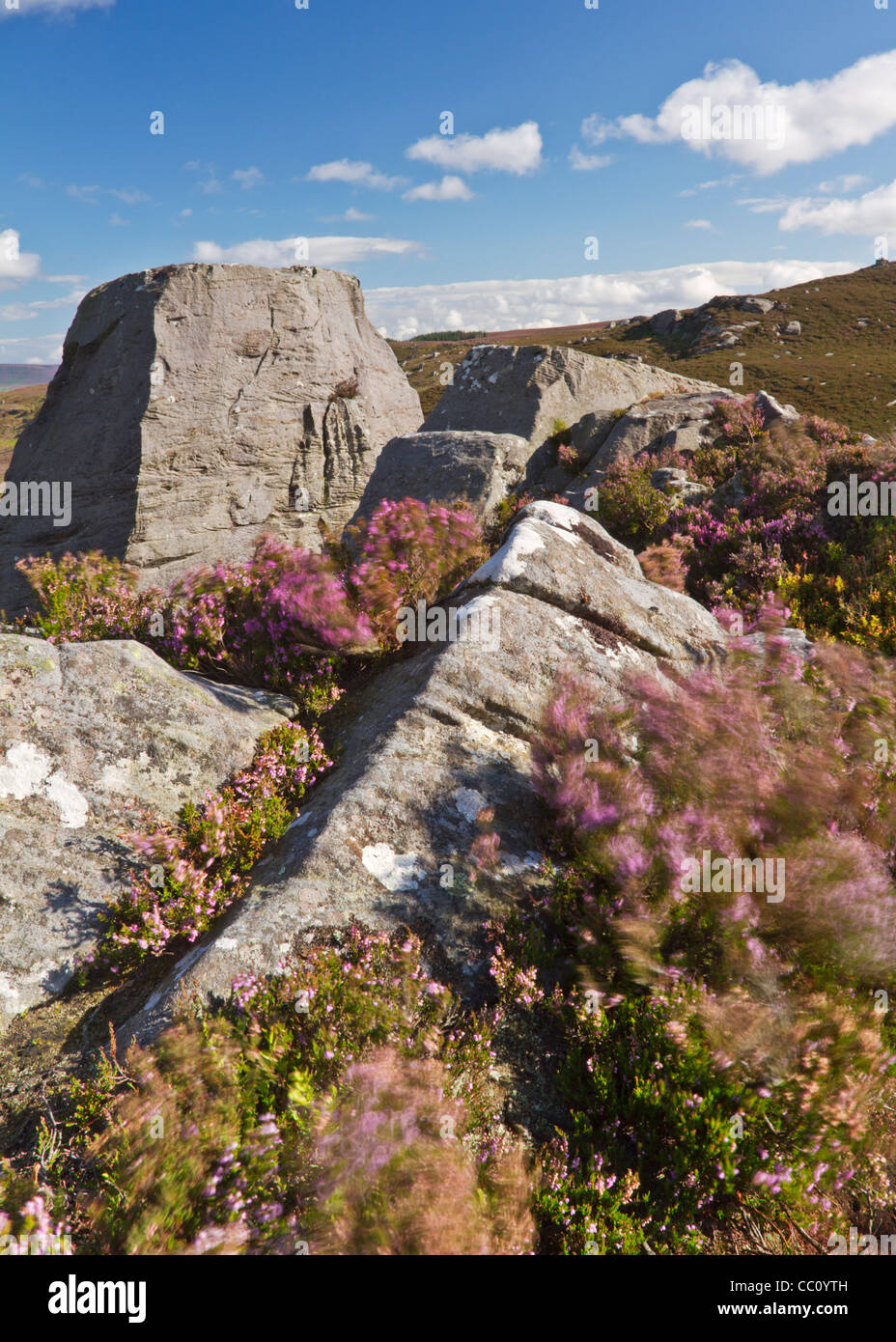 The Drake Stone, a massive sandstone boulder near the village of ...