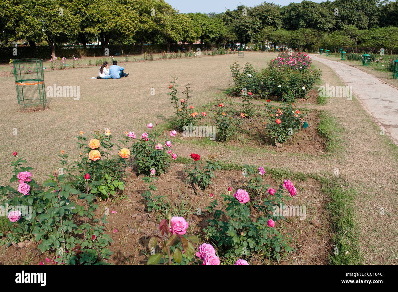 Rose garden, Punjab University, Chandigarh, India Stock Photo - Alamy