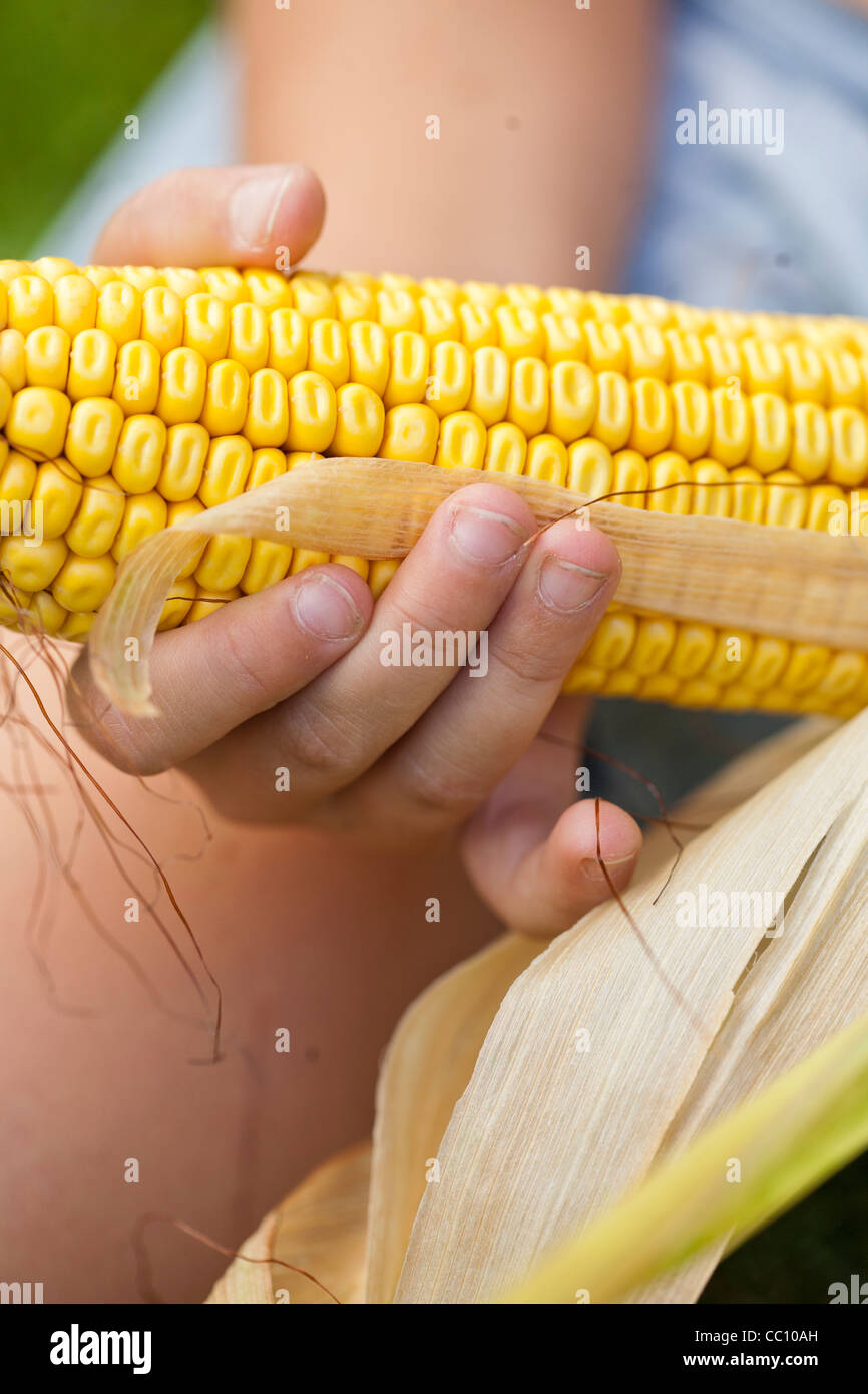 Outdoor corn hi-res stock photography and images - Alamy
