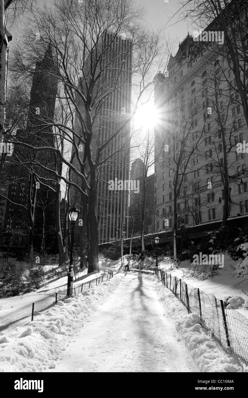 Winter Snow in Central Park, Manhattan, New York City Stock Photo - Alamy