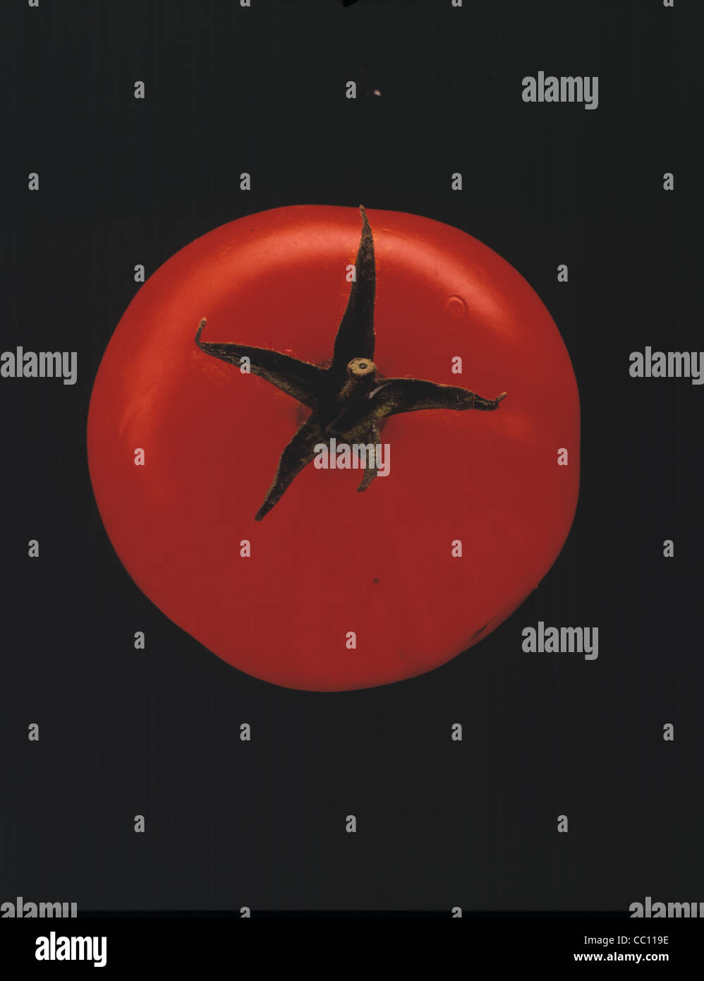 Tomato knockout hi-res stock photography and images - Alamy