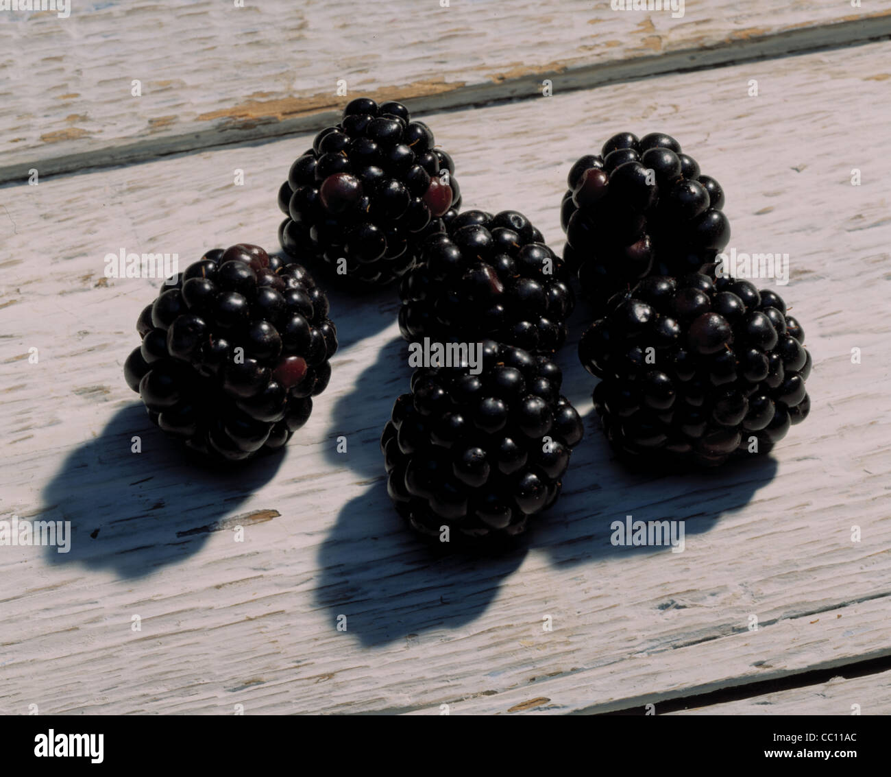 Cut out: Brambles Stock Photo - Alamy