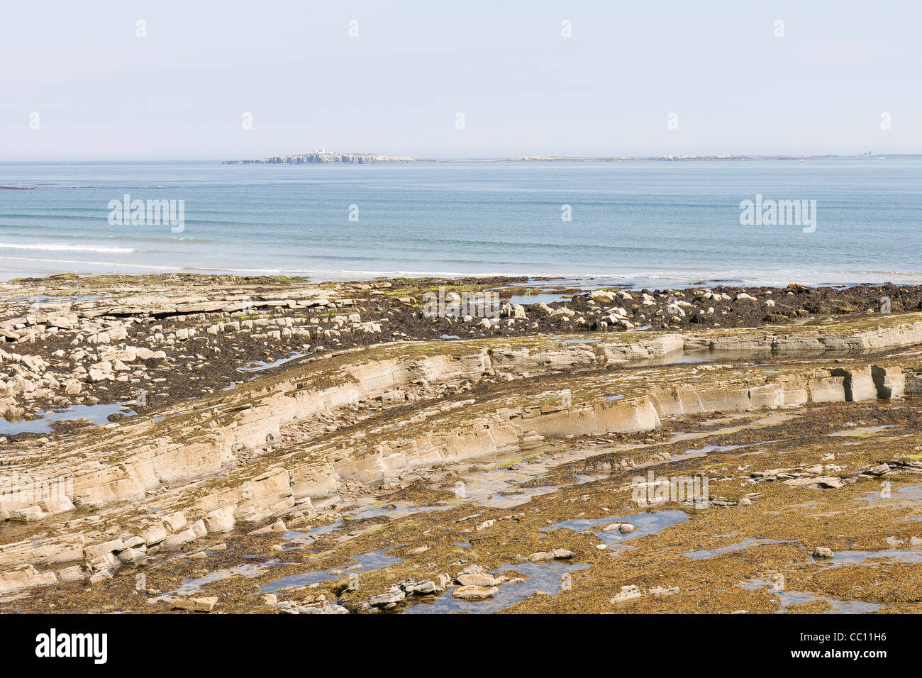 Farne islands out of seahouses hi-res stock photography and images - Alamy