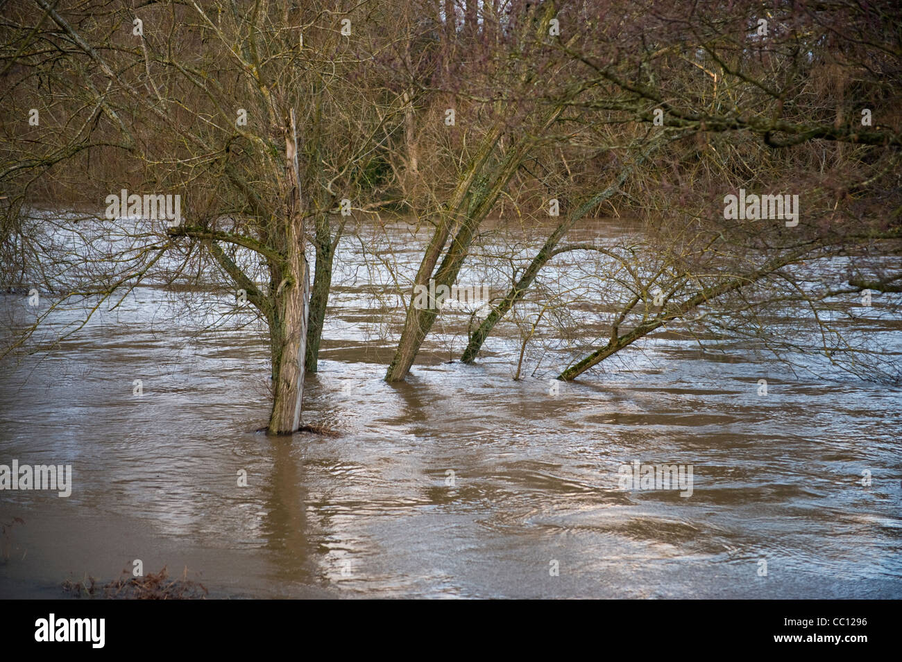 River Wye in full winter flood at The Warren Hay-on-Wye Powys Wales UK ...