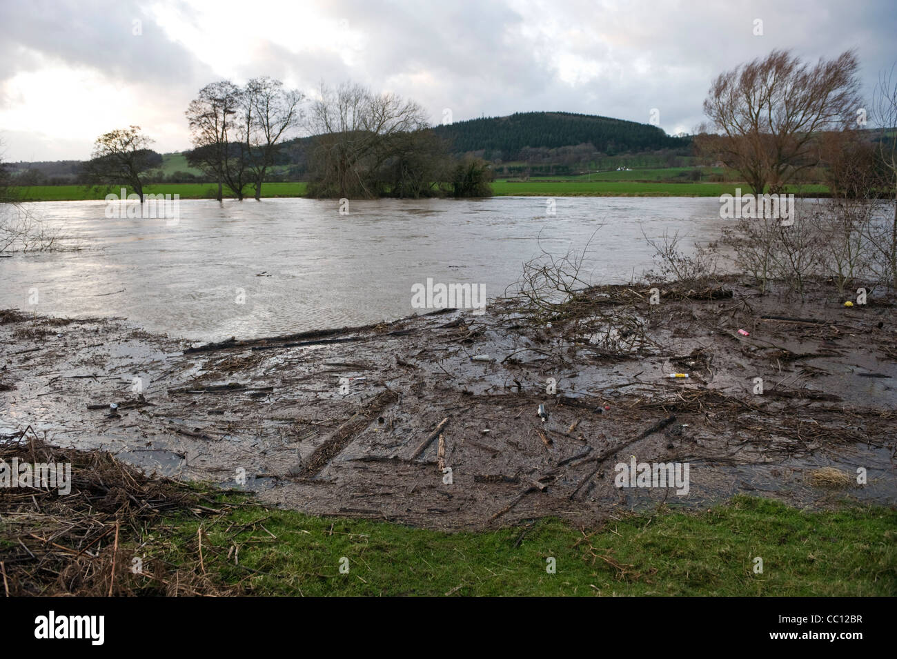 River wye riverbank powys trees hi-res stock photography and images - Alamy